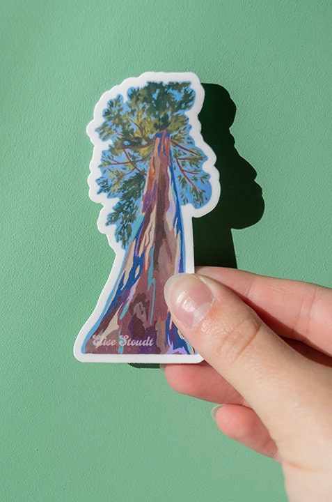 A Mariposa Grove Sequoia Sticker, Vinyl Sticker, Fine Art Sticker, Die ...