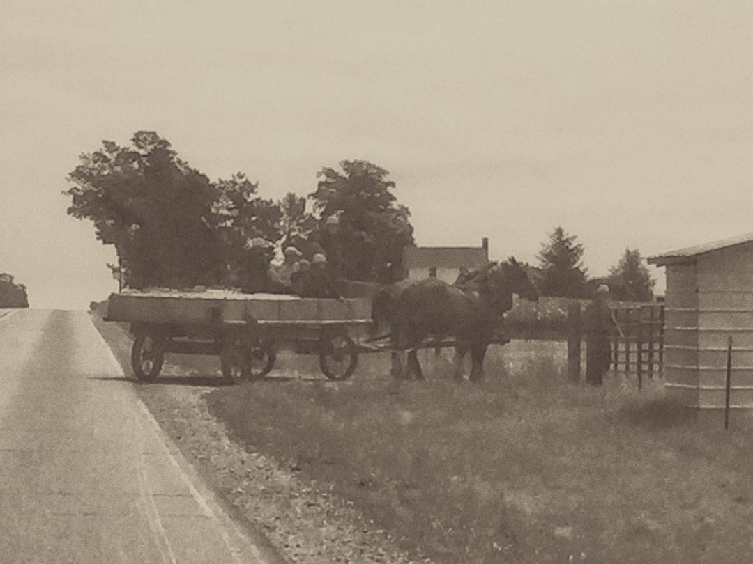 Amish Days 16"x20" Wall Art Print - Etsy