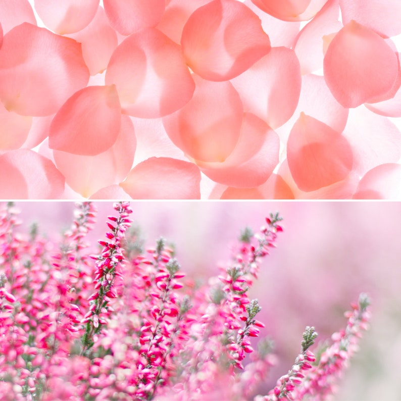 FLOWERS Zoom Background Backdrop for Online Meeting and Video - Etsy