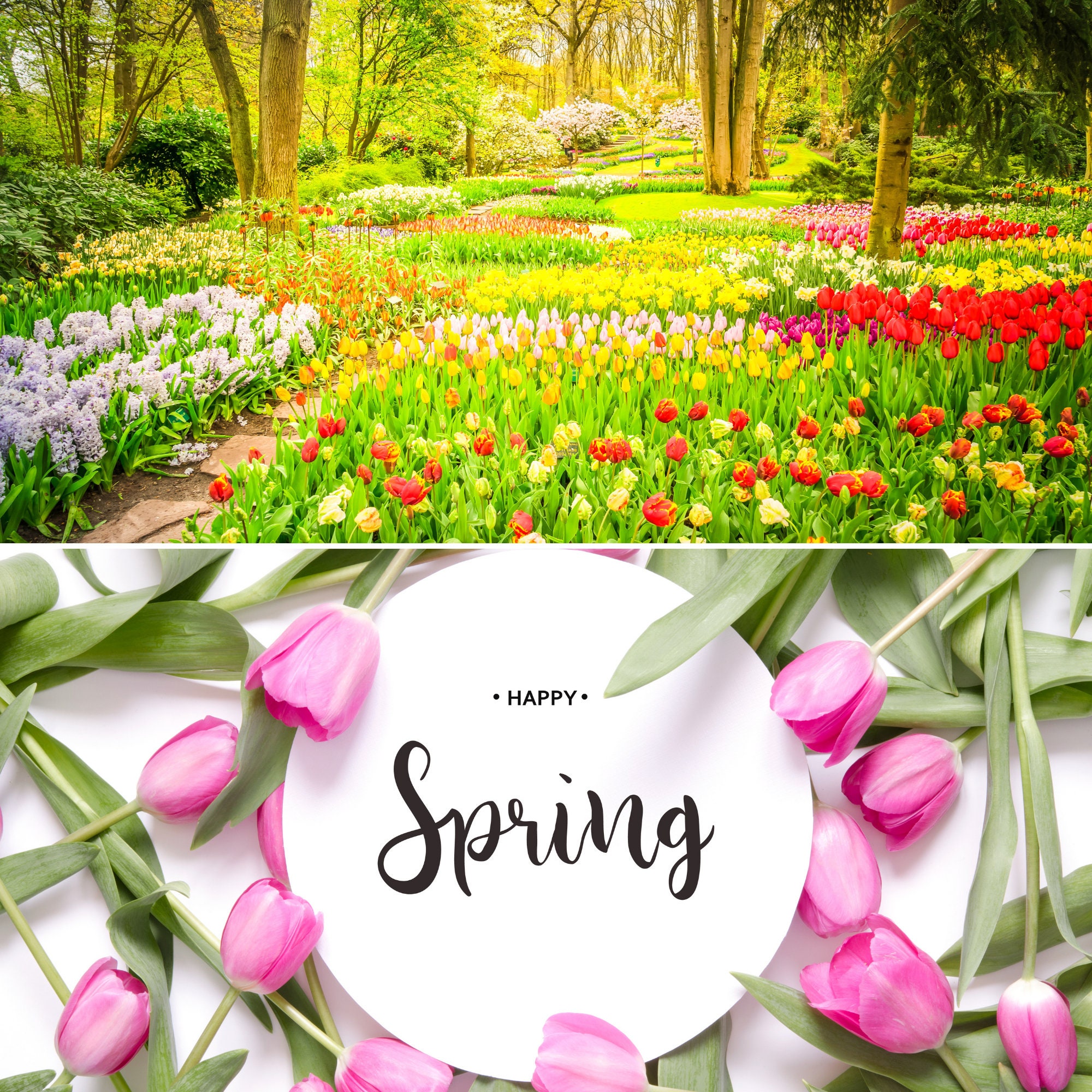 Spring Zoom Backgrounds