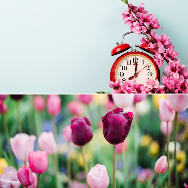 Spring zoom background images - benHop