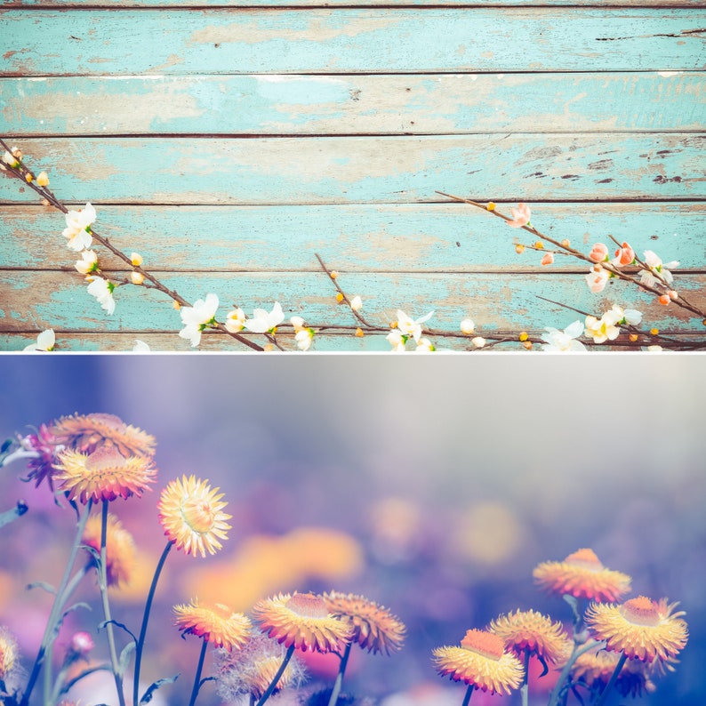 Zoom flower background - grandsadeba