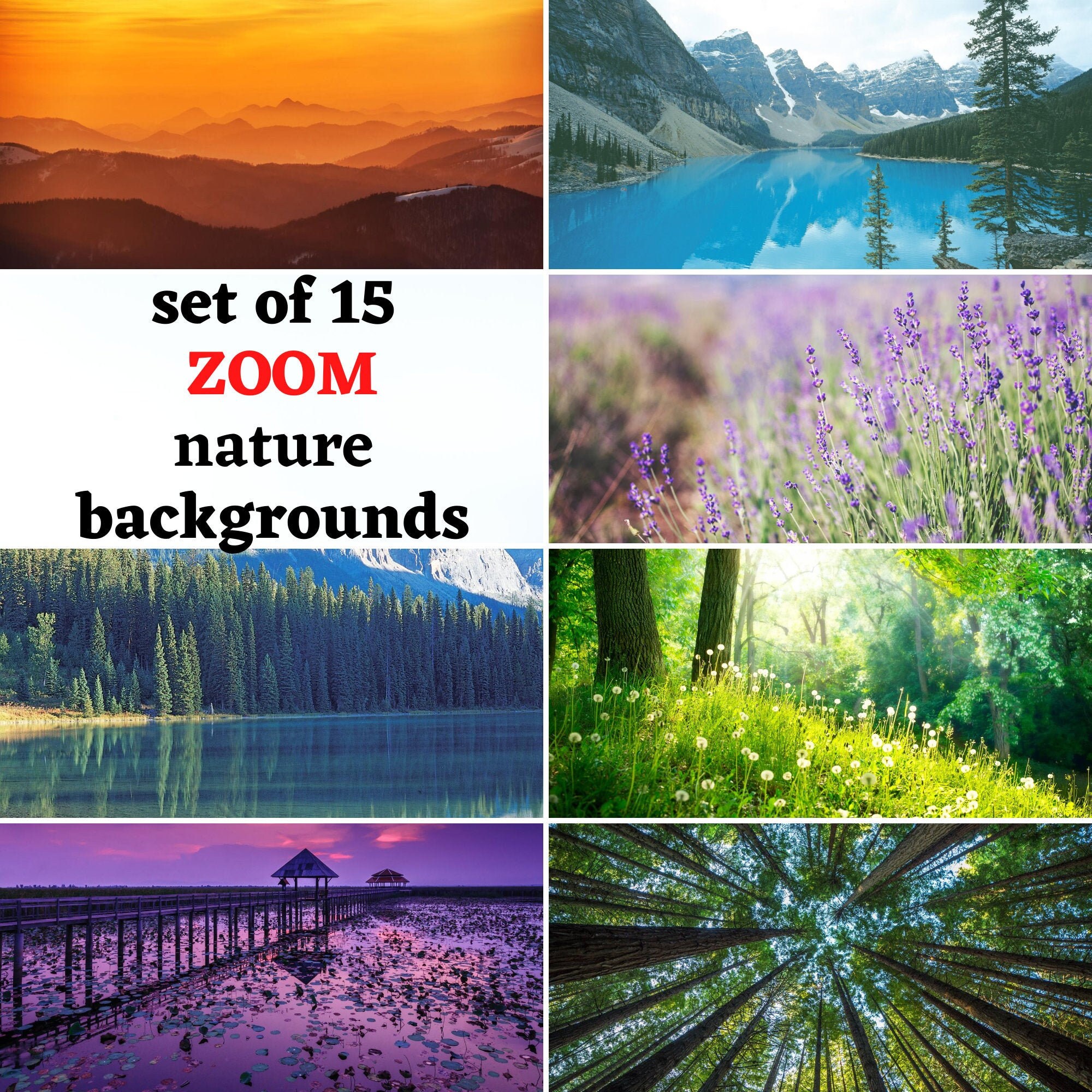 Zoom Background Nature Neutral Forest Virtual Digital Backdrop | Etsy