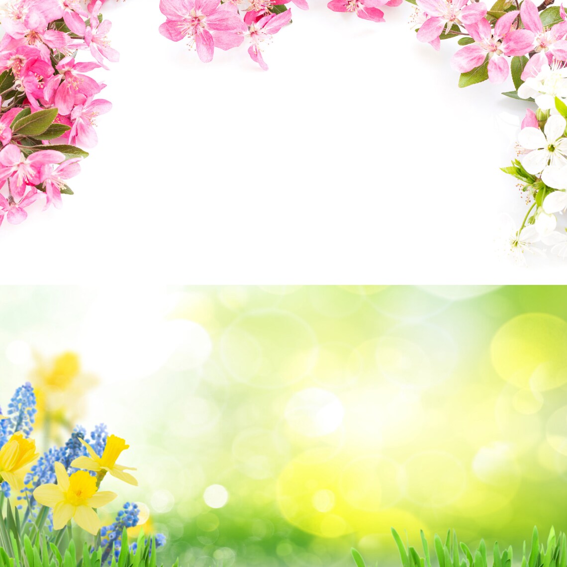 SPRING Zoom Background Backdrop for online meeting and video | Etsy