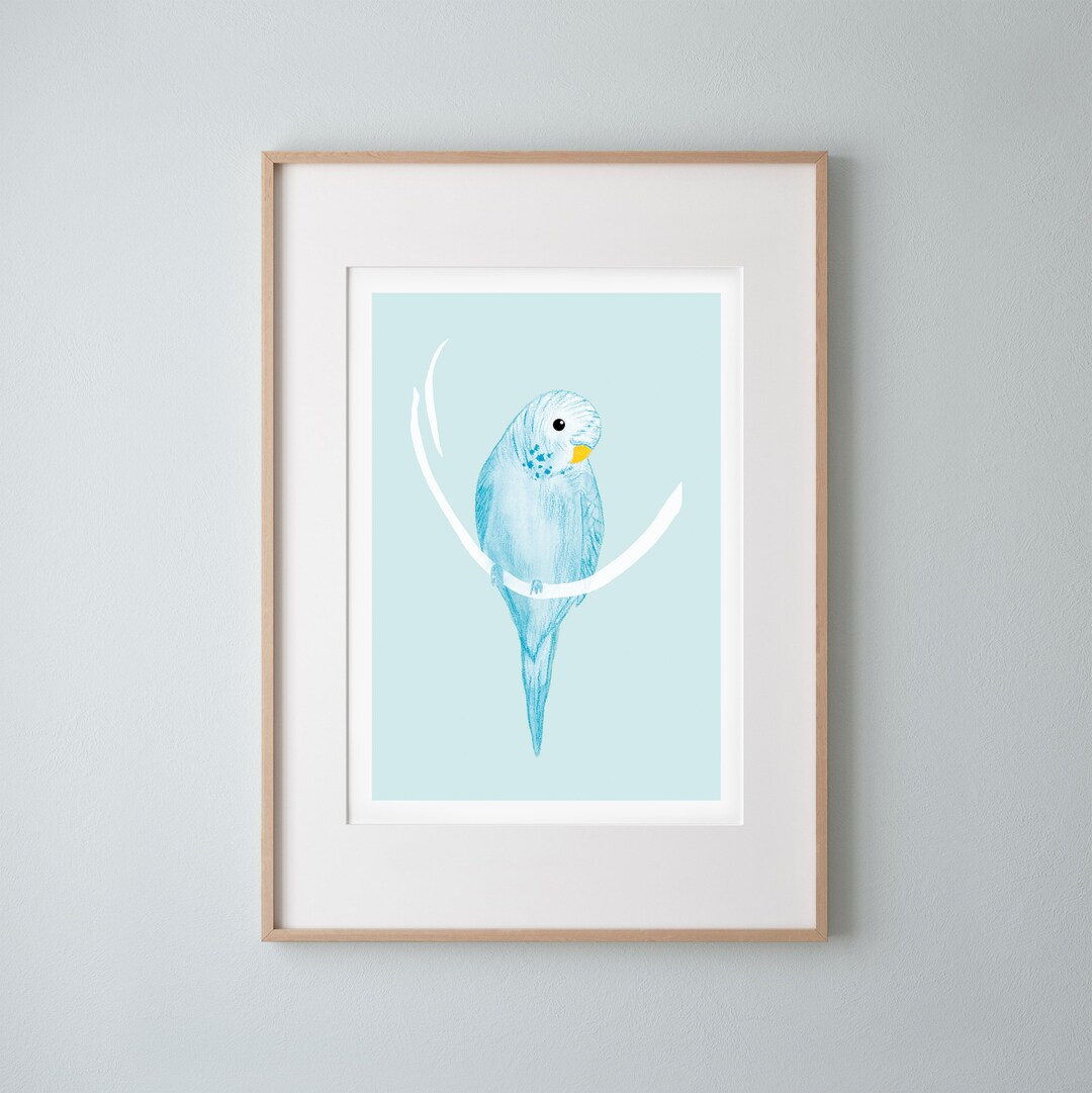 Budgie A4 Poster Wall Art Poster Nursery Poster Baby Poster Animal ...