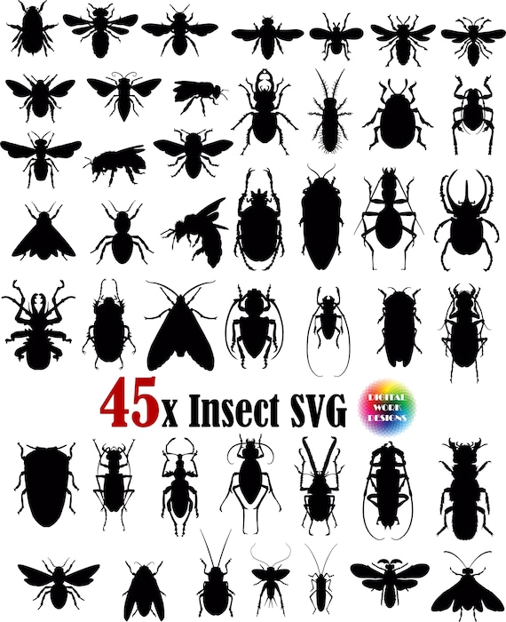 45x Insect SVG Insects Svg Insect Silhouette Insect Cut - Etsy