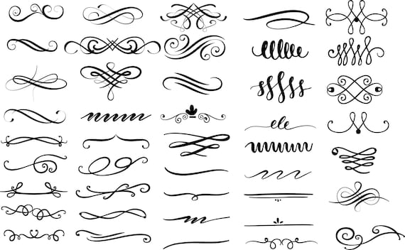 Decorative Line Divider
