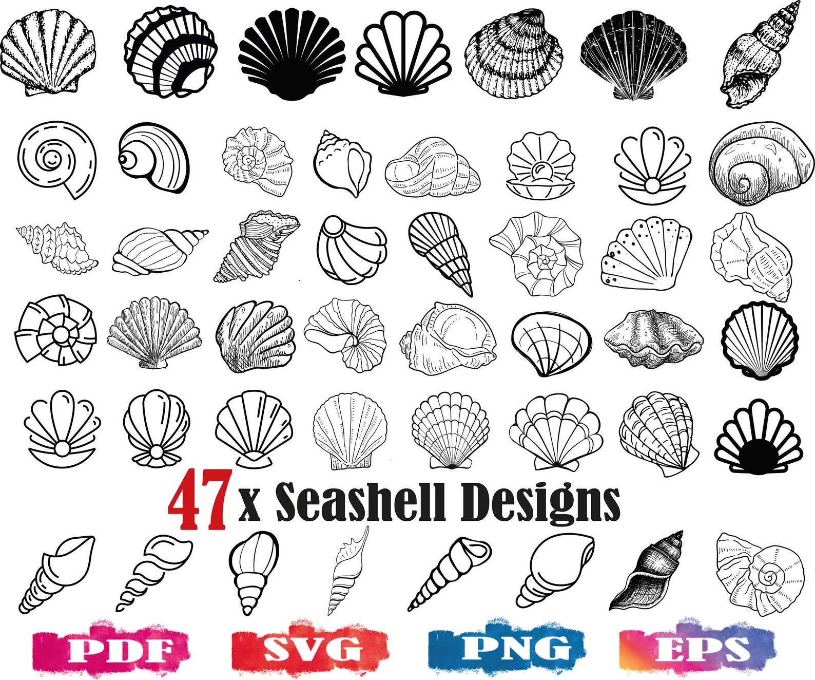 Seashell SVG / Seashells PNG / Seashell Silhouette / Sea Shell - Etsy