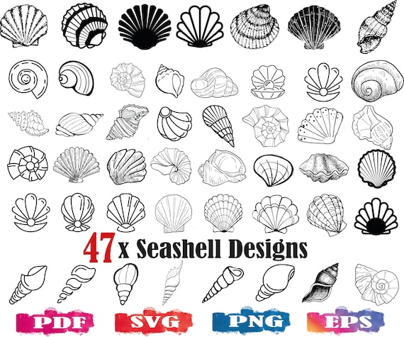 Seashell Vector Png