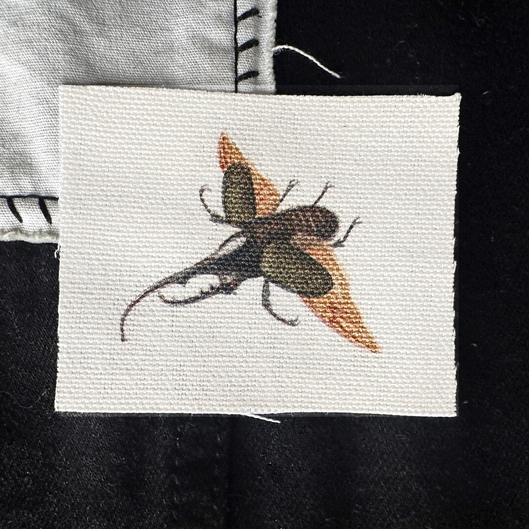 Rhinoceros Beetle Sew on Patch | Fabric Insect Entomology Bug Patches ...