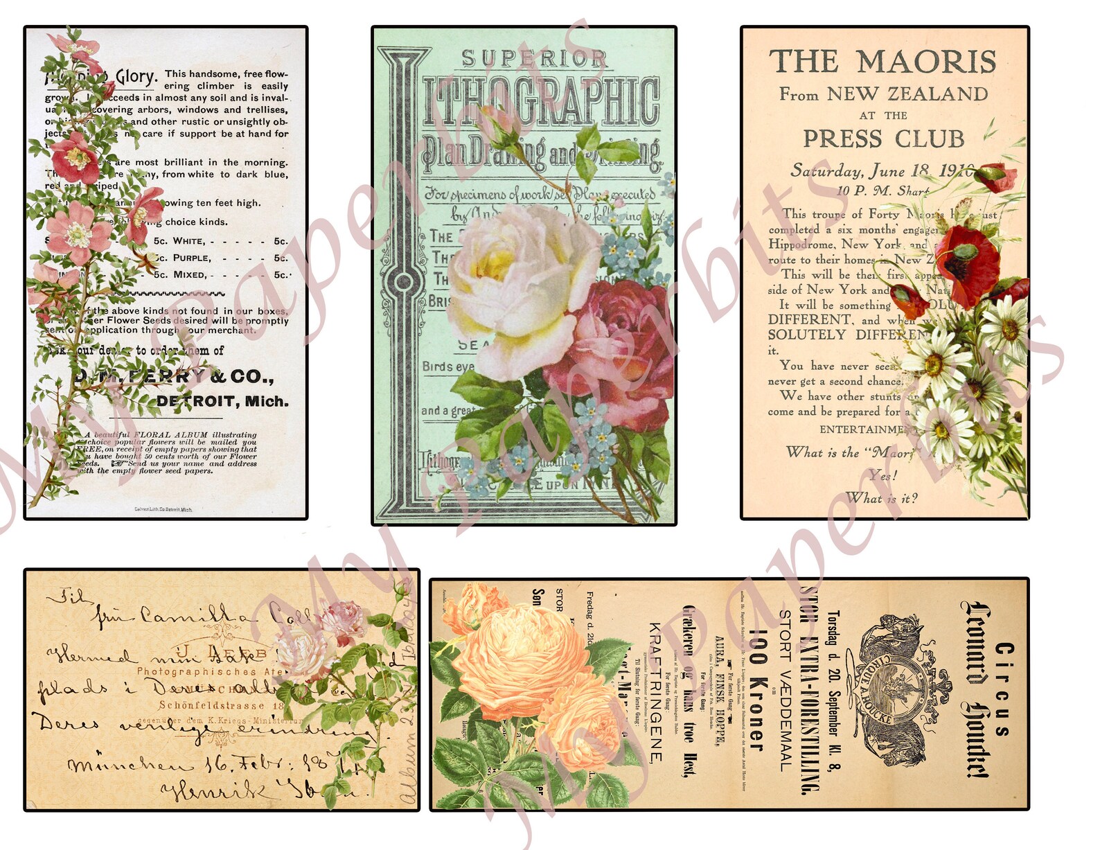Vintage Digital Ephemera Vintage Ephemera Floral Ephemera - Etsy