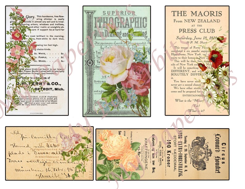 Vintage Digital Ephemera Vintage Ephemera Floral Ephemera - Etsy