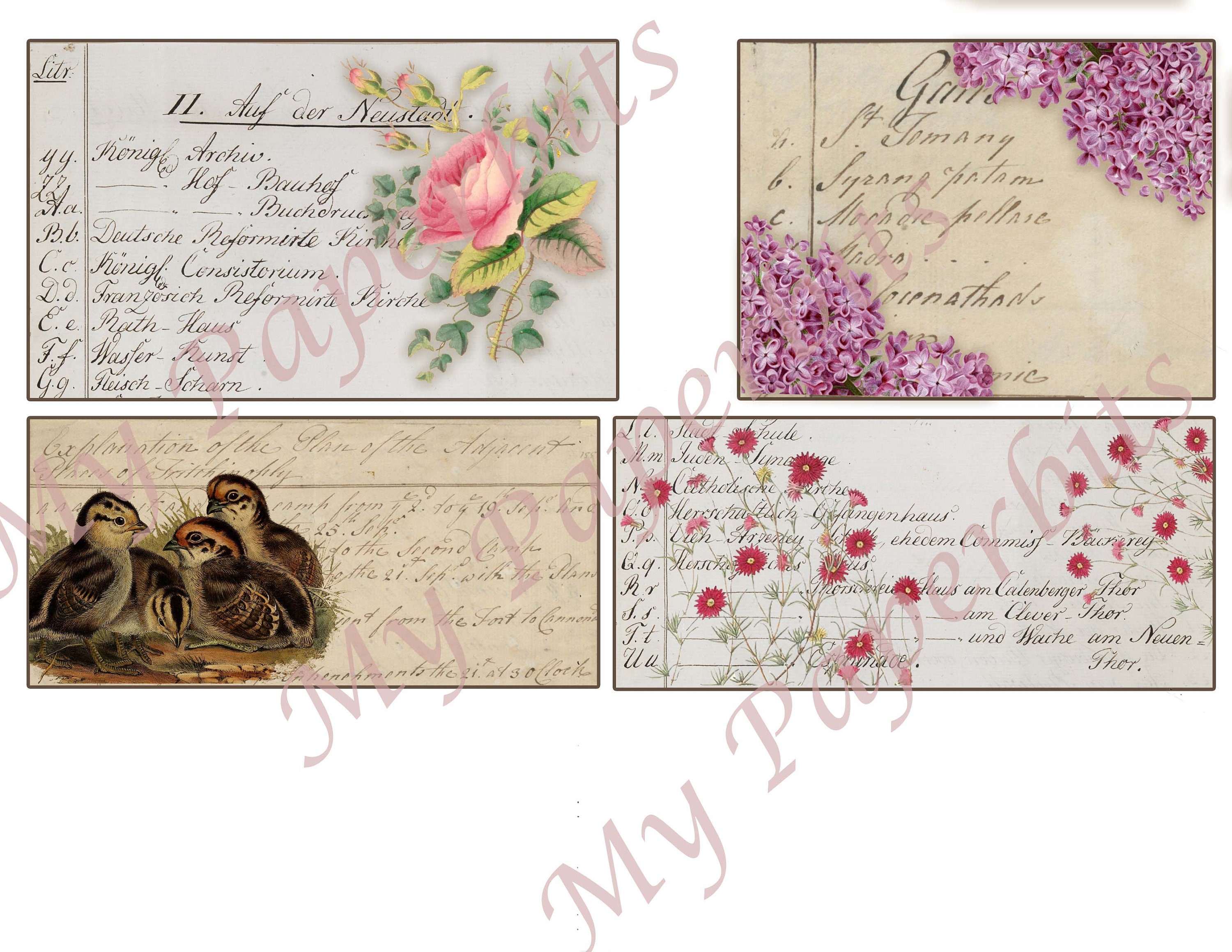 Vintage Digital Ephemera, Vintage Ephemera, Floral Ephemera, Journaling ...