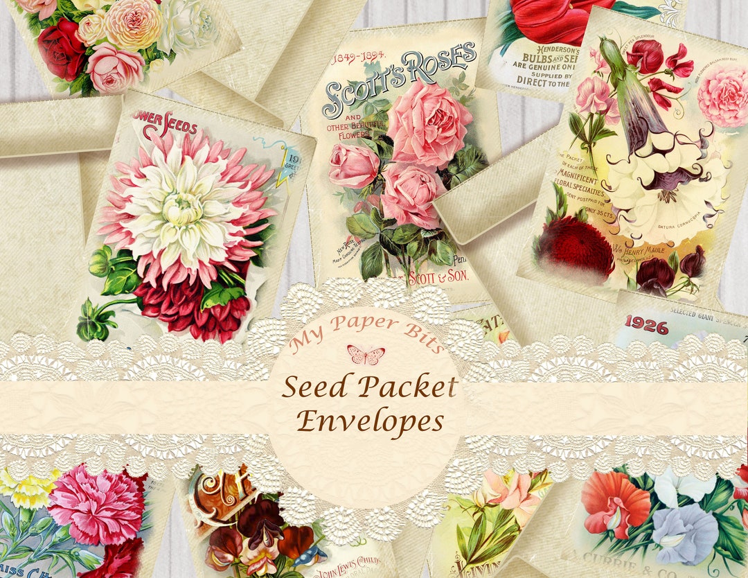 Vintage Seed Packet Digital Ephemera, Vintage Ephemera, Floral Ephemera ...