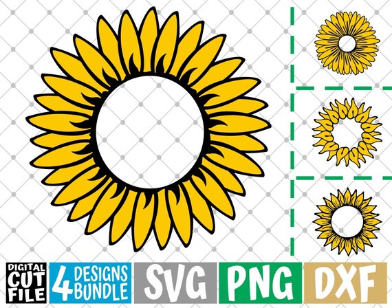 4x Sunflowers Frame Designs Bundle Svg Summer Svg Flowers | Etsy