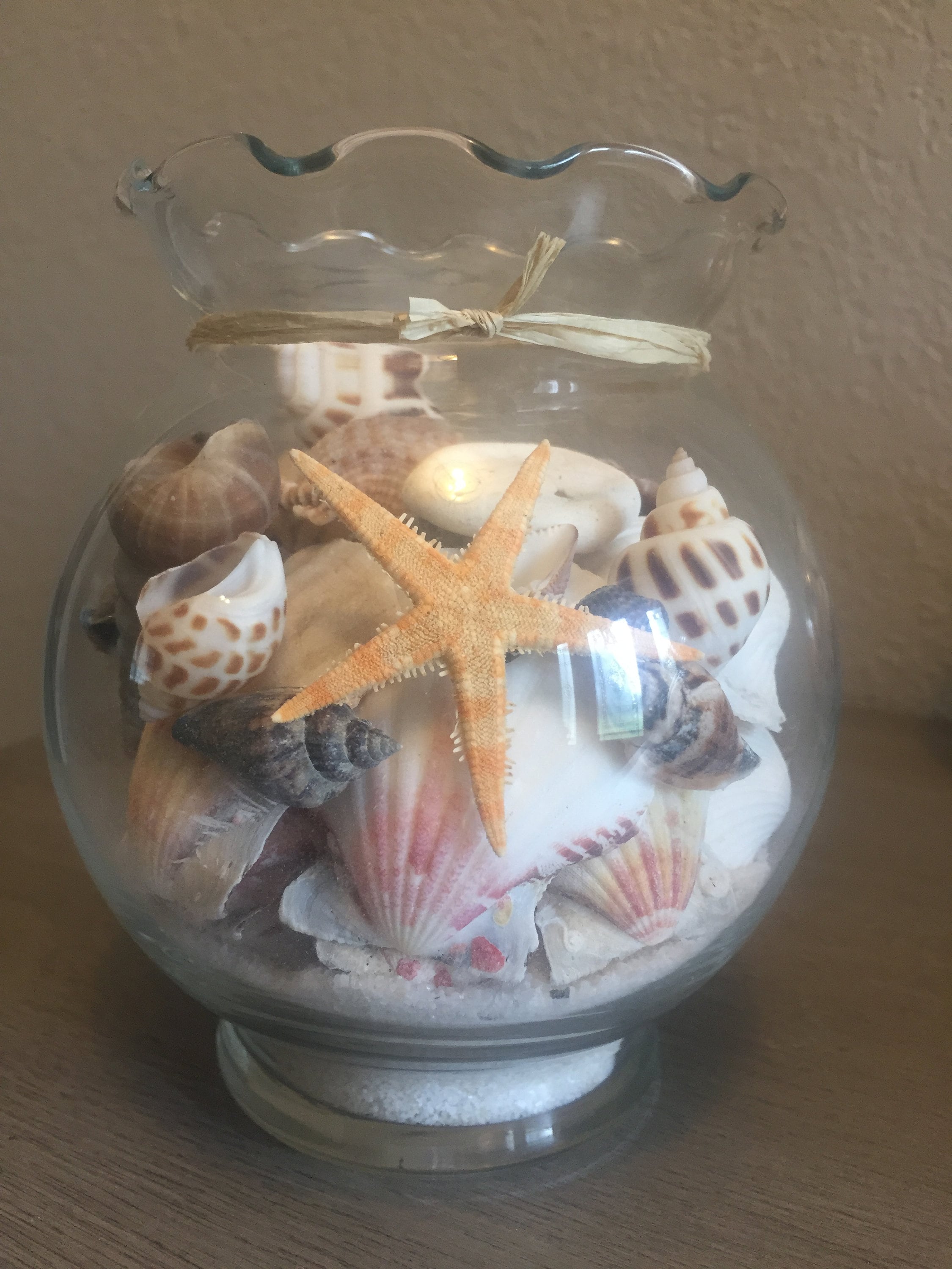 Sea Shell Beach Party Favors - Etsy
