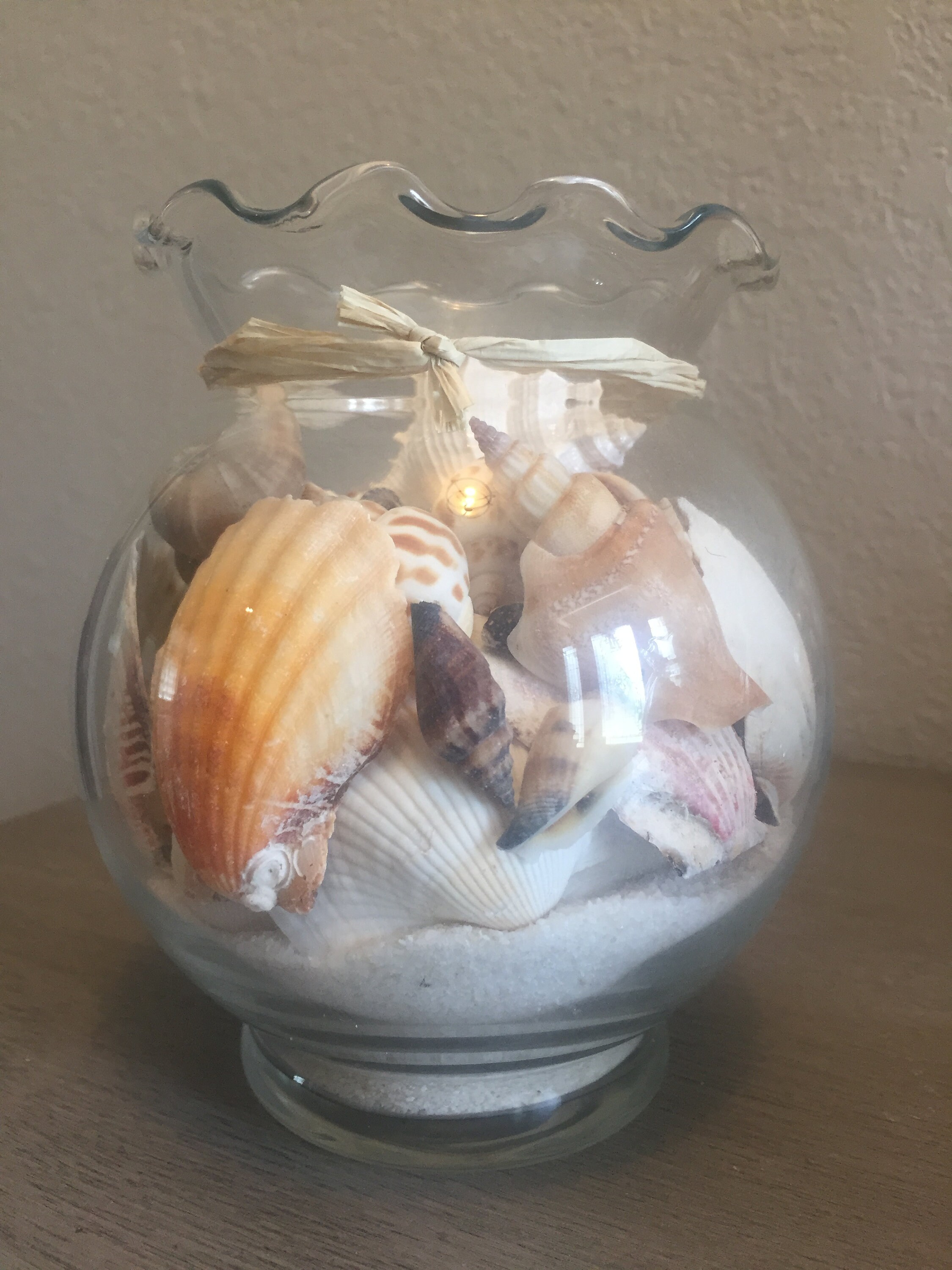Sea Shell Beach Party Favors - Etsy