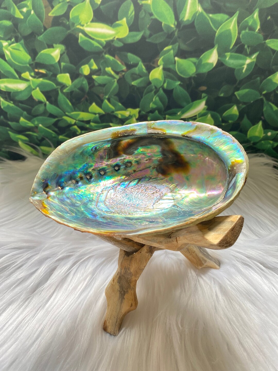 Abalone Shell With Wooden Stand for Meditation and Smoke Cleansing - Etsy