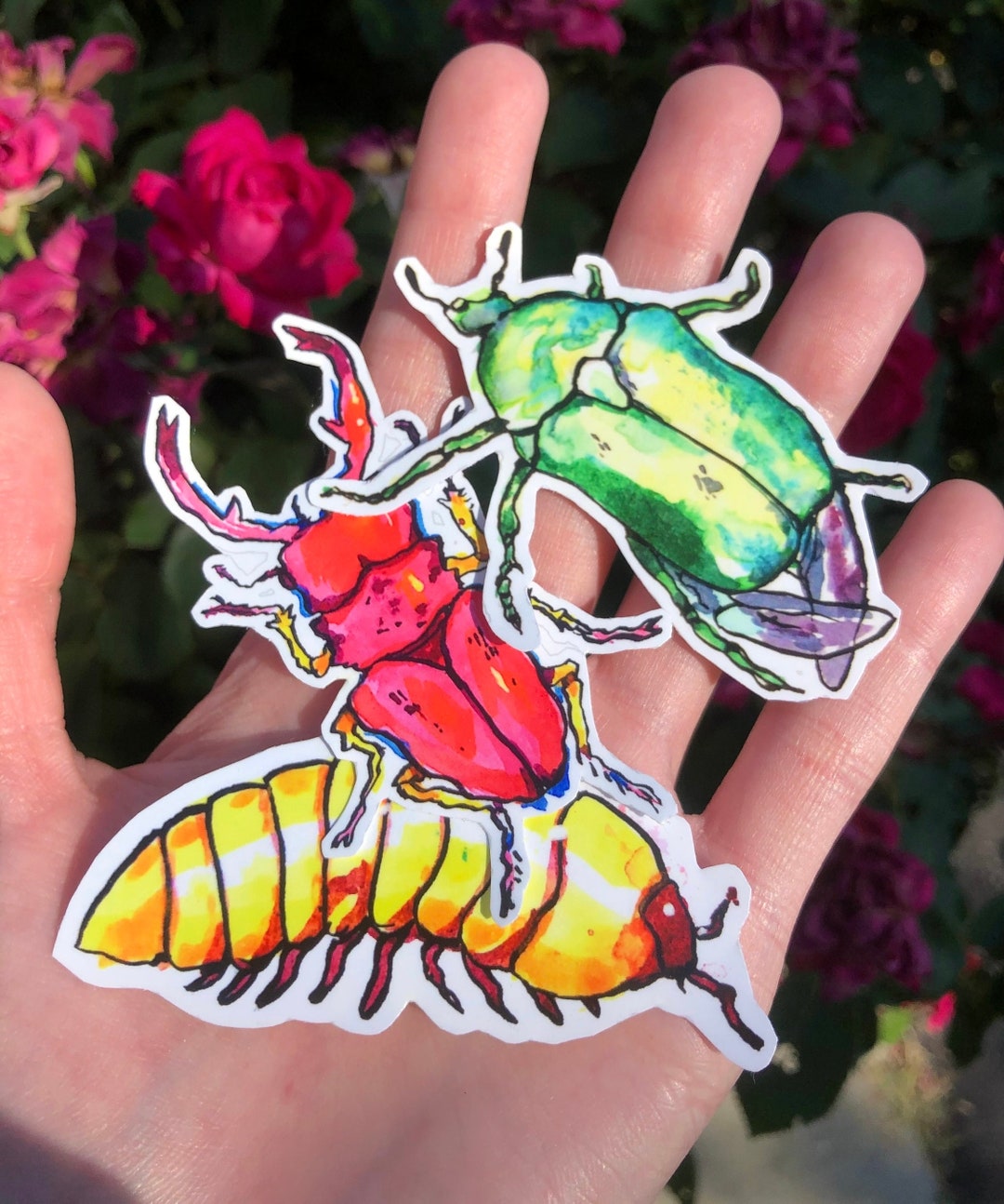Insect Bug Vinyl Stickers | Stag Beetle | Isopod | June Beetle - Etsy