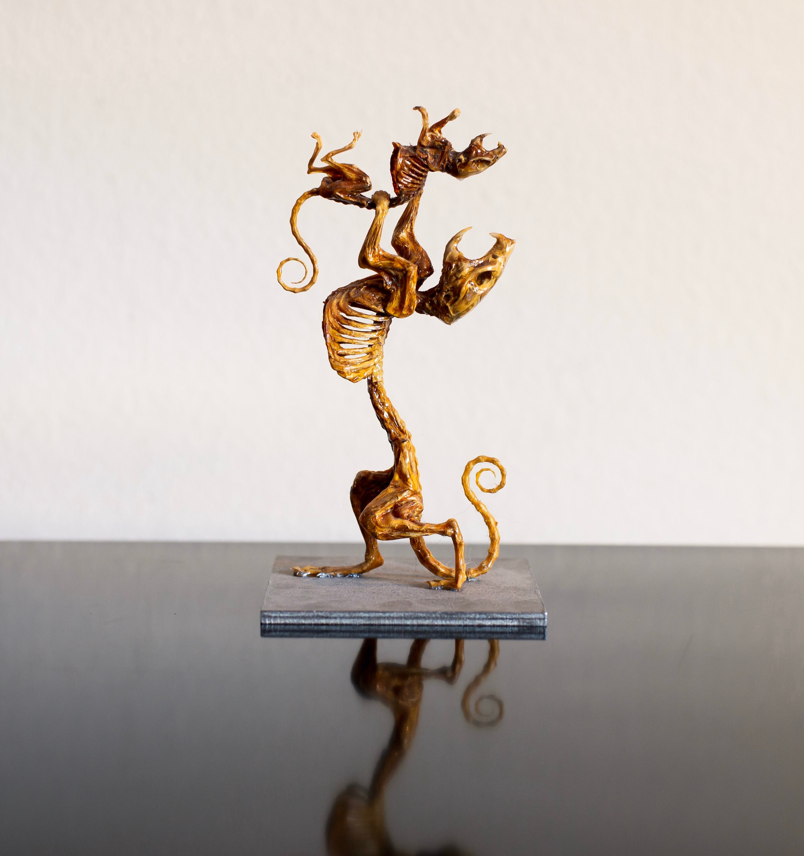 Rat art Oddities & curiosities Mystery box haunted paranormal creepy ...