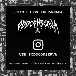 Oddities & Curiosities Mystery Box 1 Lot Haunted Paranormal Creepy Wet ...