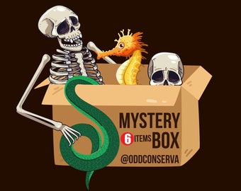 Creepy Mystery Box - Etsy