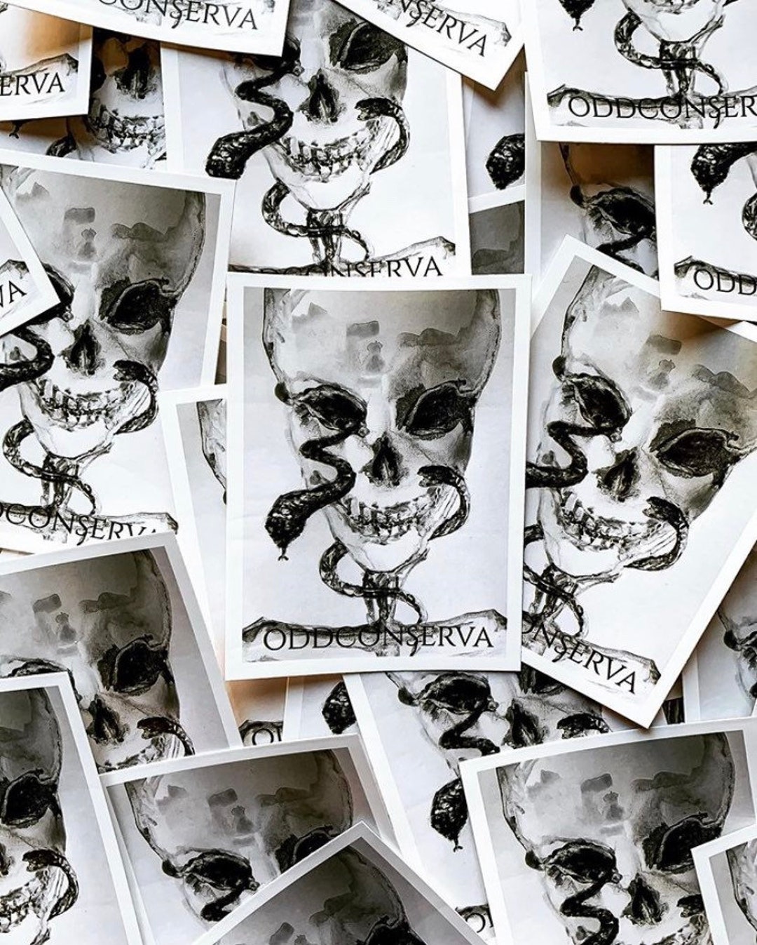 Oddconserva Sticker Wet Specimen Odd Rare Preserved Oddities Mummified ...