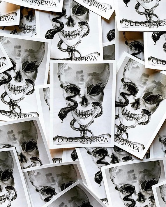 Oddconserva sticker wet specimen odd rare preserved oddities | Etsy