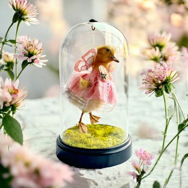 Mummified Fairy - Etsy