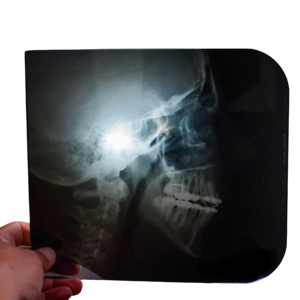 Human Oddities - Etsy