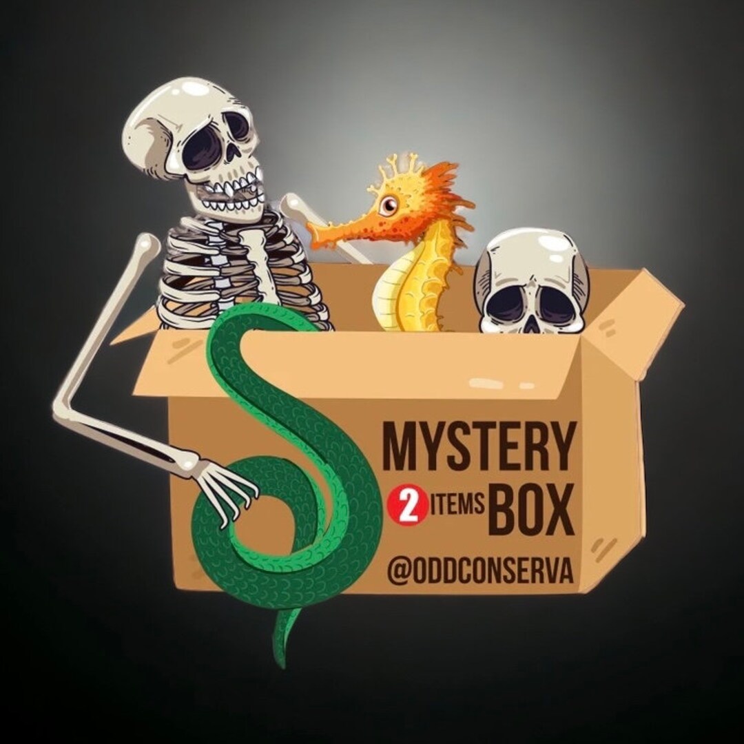 Oddities & Curiosities Mystery Box 1 Lot Haunted Paranormal Creepy Wet ...