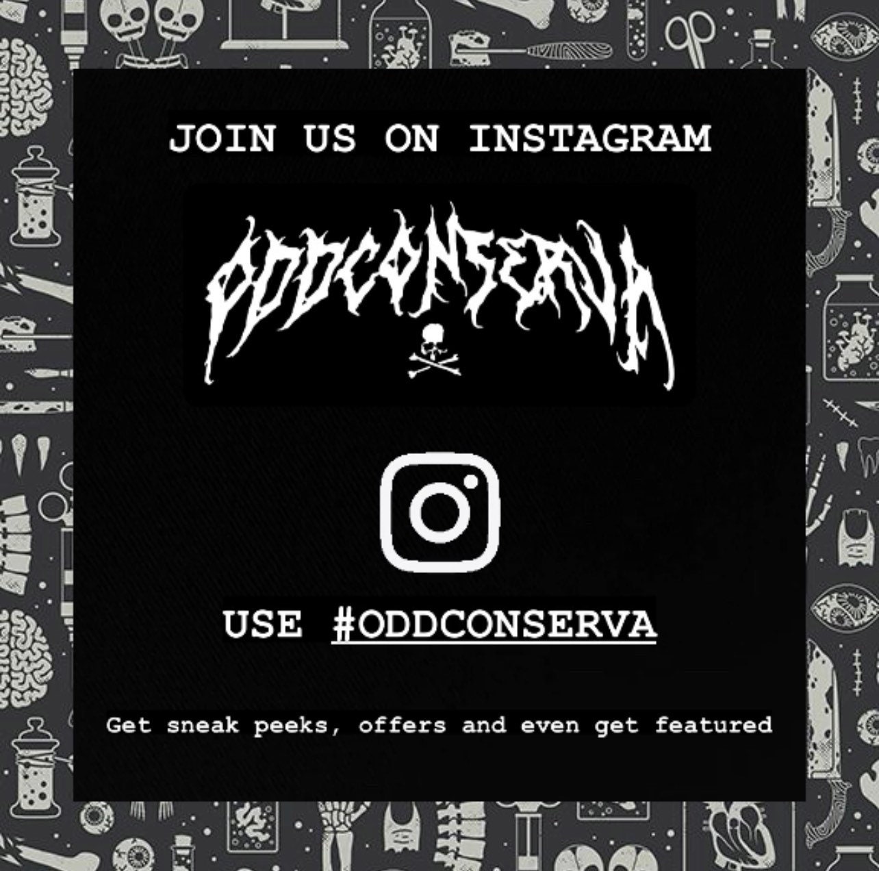 Duck Duckling Mummified Skeleton Specimen Wet Dried Preserved Oddities ...