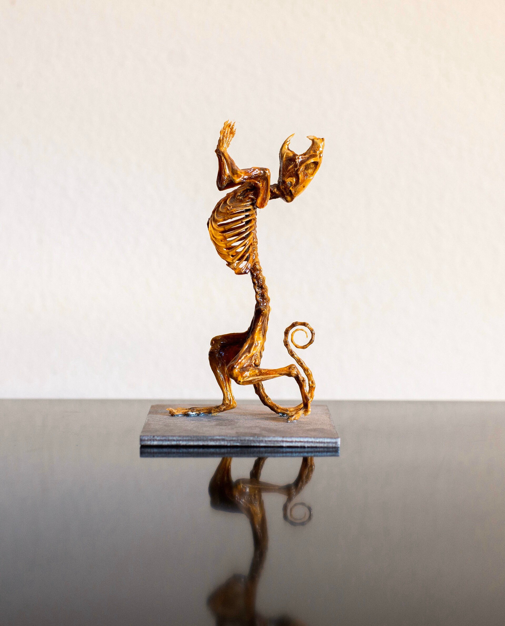 Rat art Oddities & curiosities Mystery box haunted paranormal creepy ...