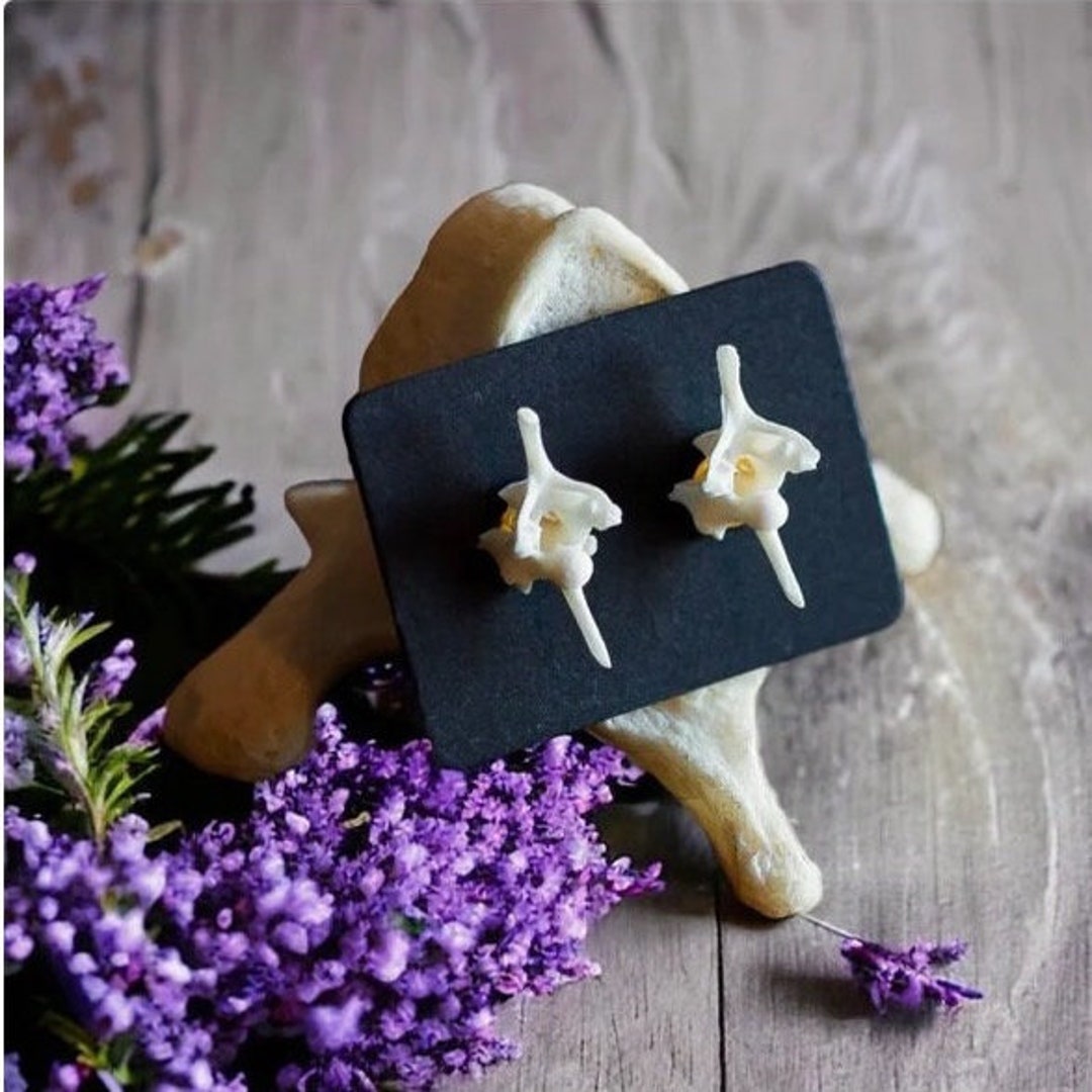 Snake Earring Stud Vertebrae Fashion Jewlery Mystery Box Bone Skull ...