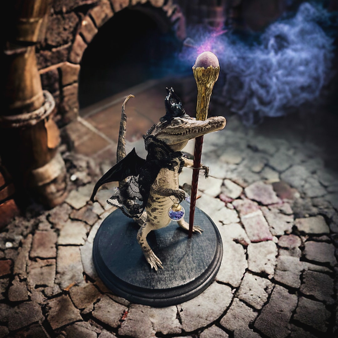 Witch Croc Alligator Reaper Skull Odd Skeleton Bone Specimen Dried ...