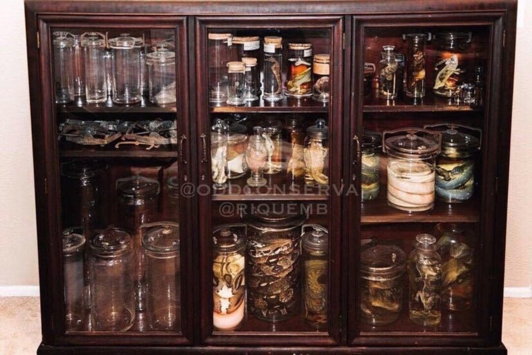 Oddities & Curiosities Mystery Box 15 Lot Haunted Paranormal Creepy Wet ...