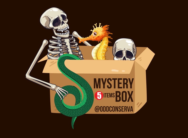 Oddities & Curiosities Mystery Box 5 Lot Haunted Paranormal | Etsy