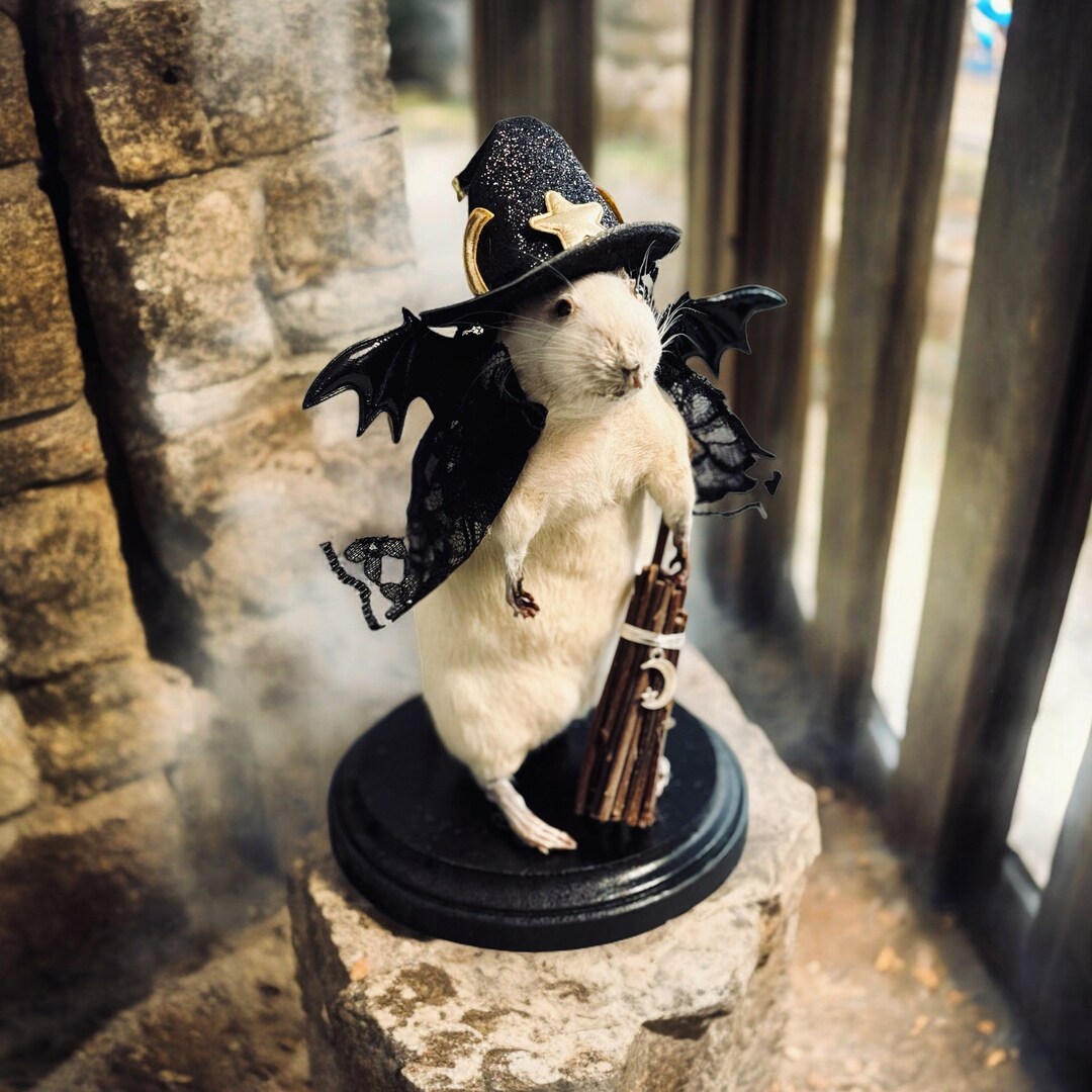 Rat Mouse Mummified Skeleton Specimen Wet Dried Preserved Oddities ...