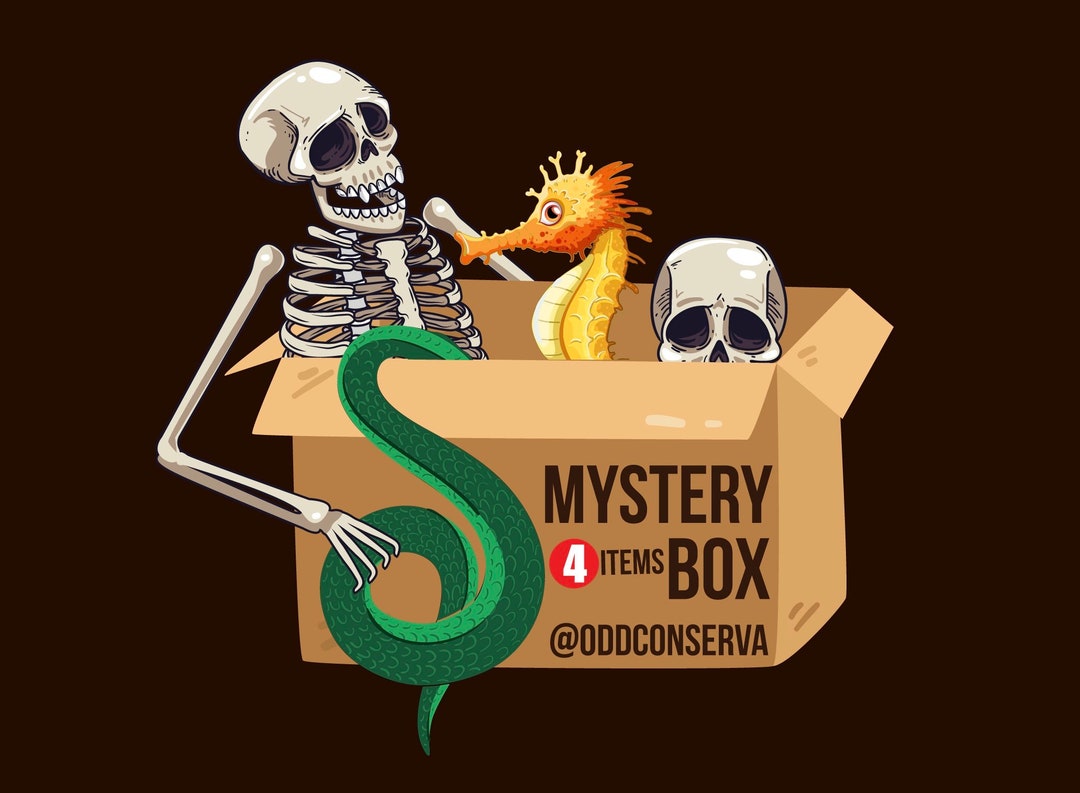 Oddities & Curiosities Mystery Box 4 Lot Haunted Paranormal Creepy Wet ...