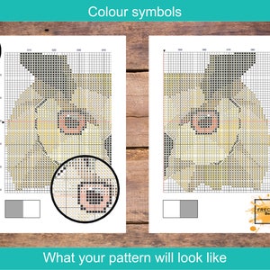 Beatrix Potter Birth Sampler - Cross Stitch Pattern - Peter Rabbit ...