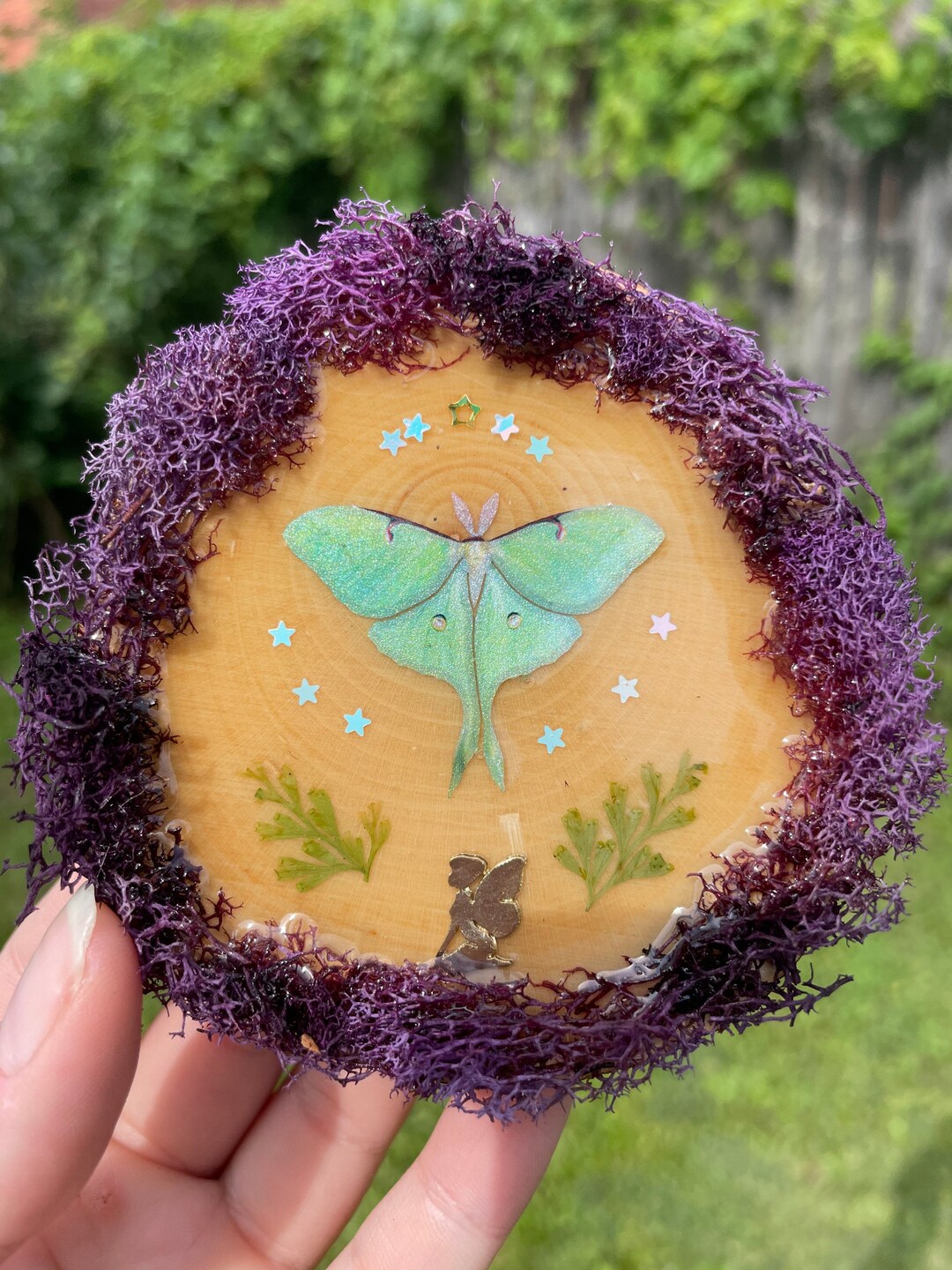 Luna Moth Purple Moss & Ferns Mini Wall Hanging - Etsy