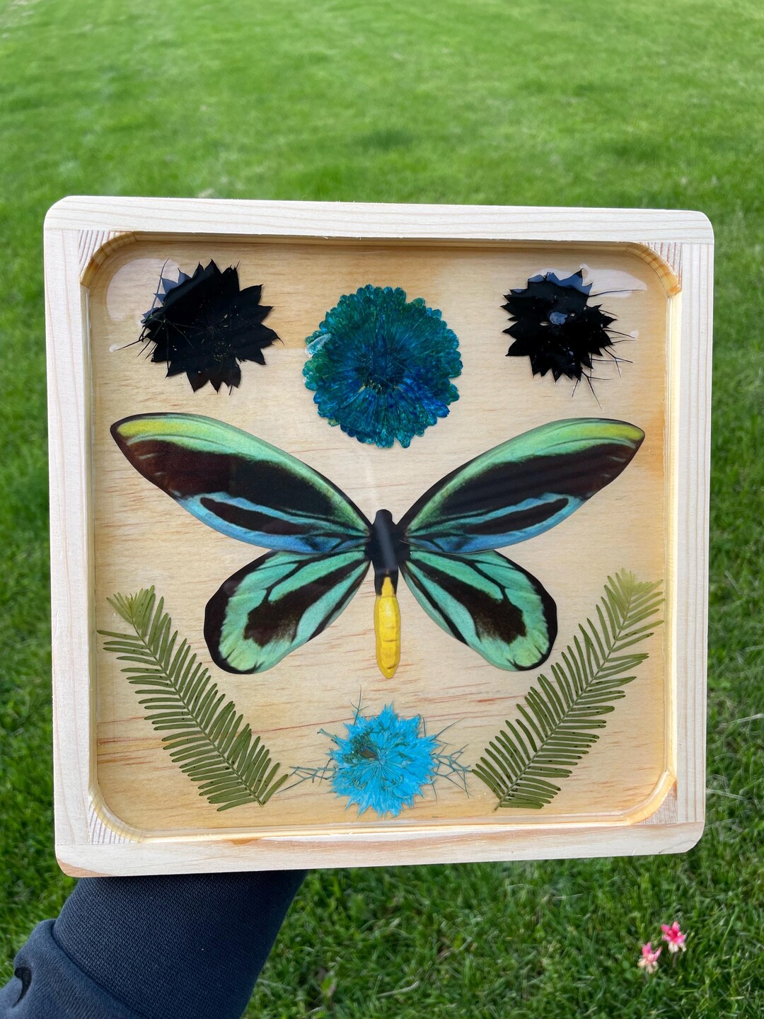 Queen Alexandra’s Birdwing Butterfly Tray - Decorative Trays, Jewelry ...