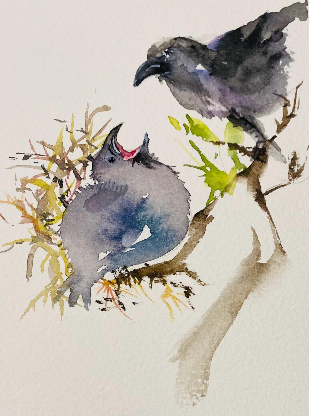 6 Alala Bird Variety Card Set. 2 New Paintings Added. Come See the ...