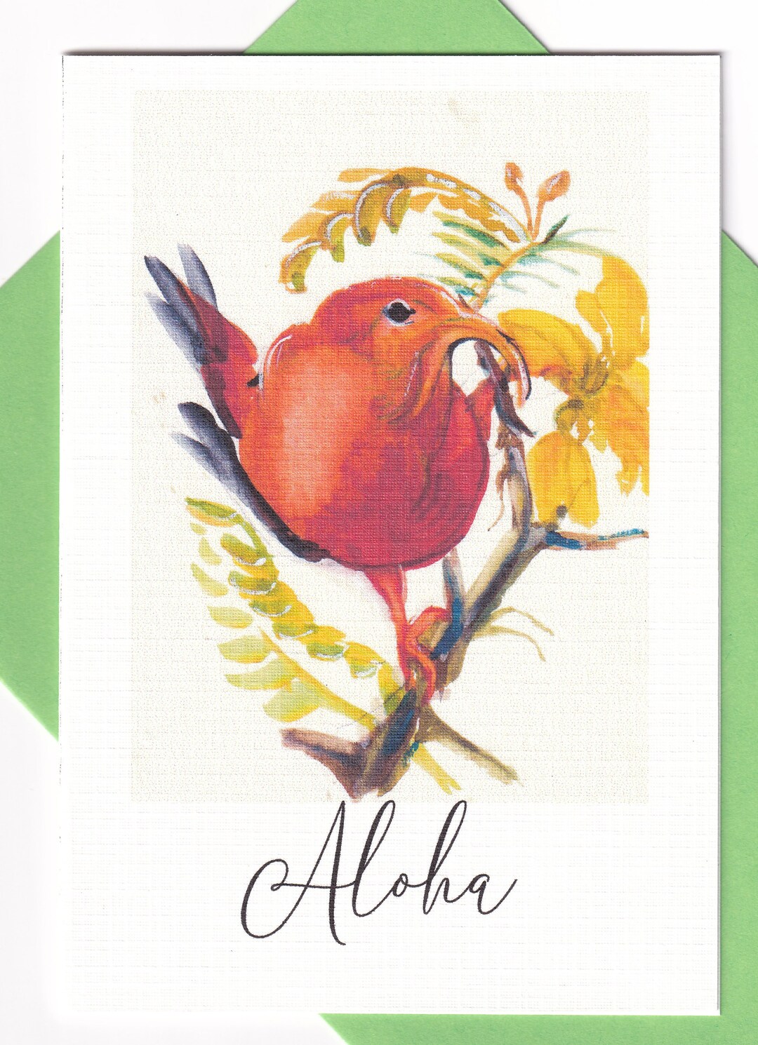 Hawaii Iiwi Bird Variety Pack Cards. Choose From 2 Sizes. - Etsy