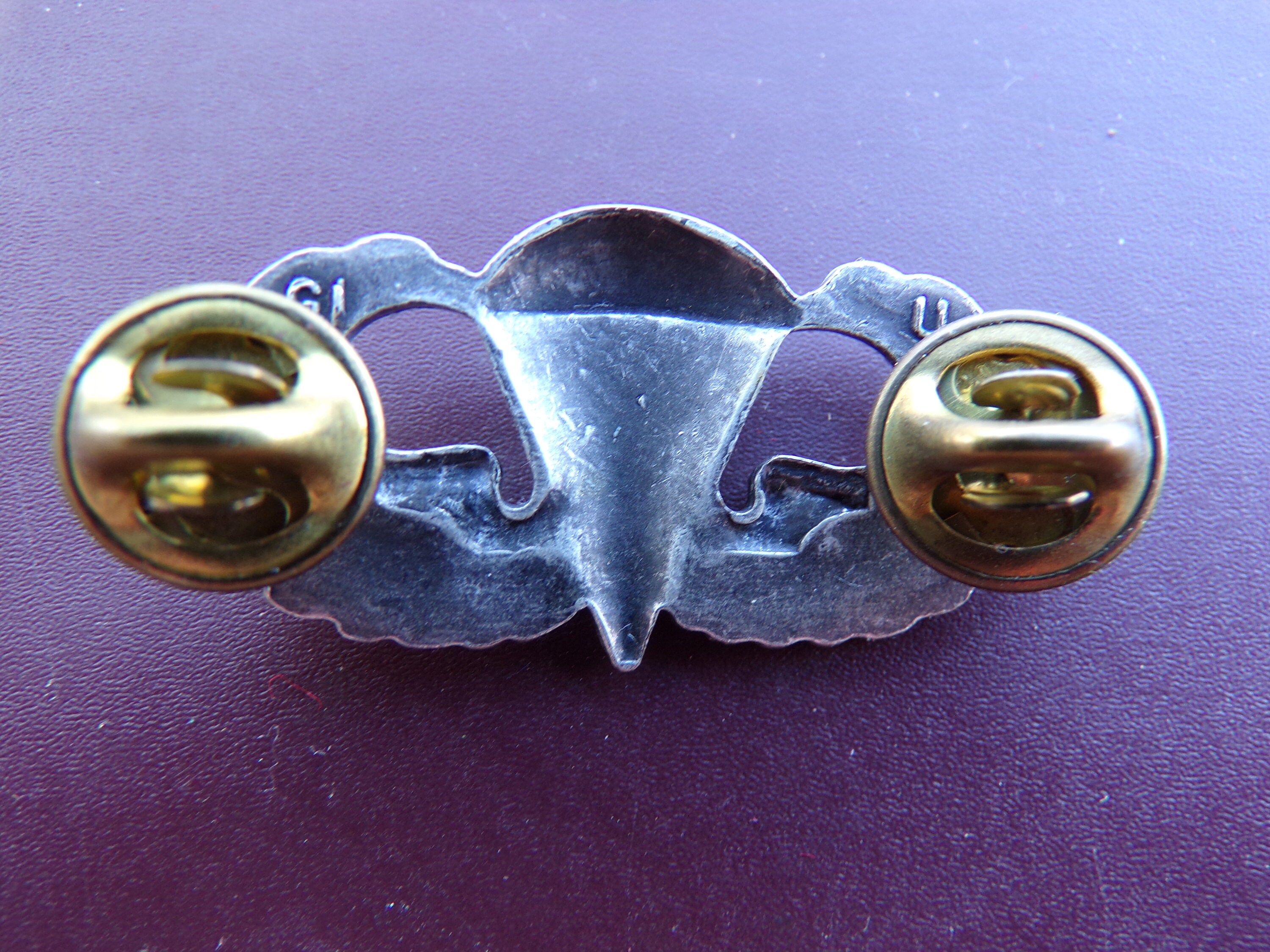 Airborne Skull Jump Wing Badge Military Insignia Pin Special Operations ...