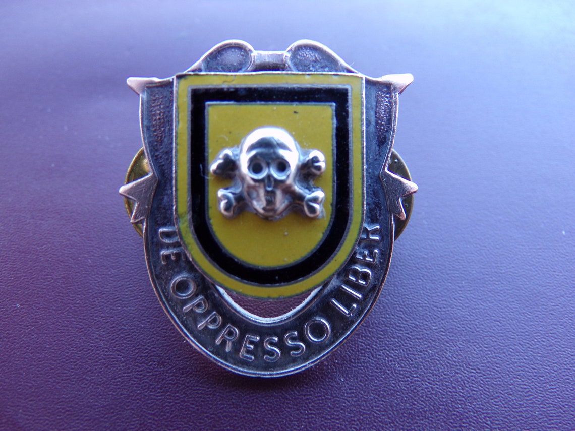 1st Special Forces Airborne Skull Crest Military Insignia Beret Badge ...
