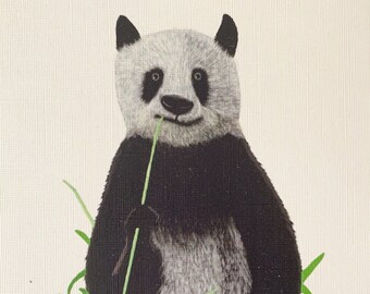 Panda Postcard - Etsy