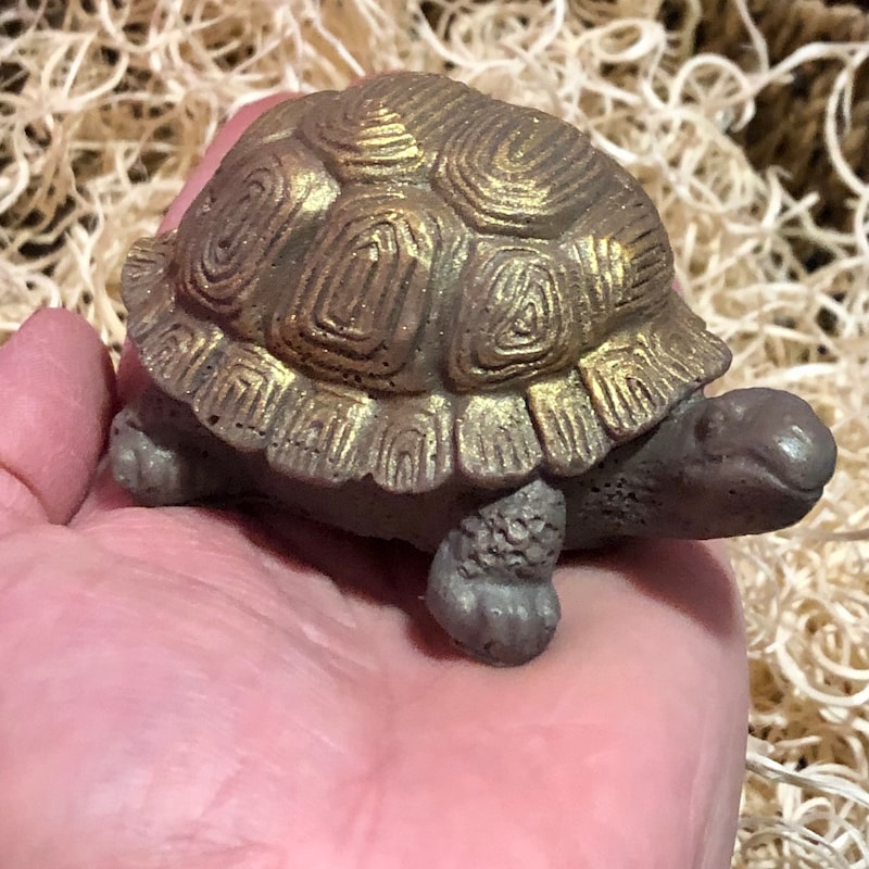 Tortoise Gifts - 60+ Gift Ideas for 2025