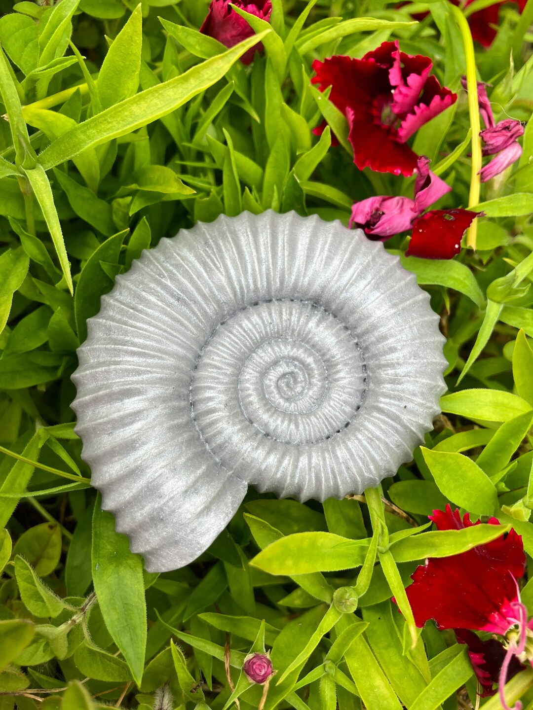Ammonite Soap: Shimmer Grey Fossil Soap, Vegan Friendly - Etsy UK
