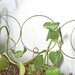 Triple Moon Goddess Plant Trellis for Indoor Plant/ Wire Trellis / Moon ...